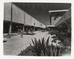 Coddingtown Shopping Mall, Santa Rosa , California, 1967 — Calisphere