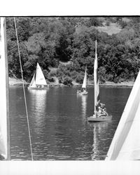 Sailboats on Lake Ralphine — Calisphere