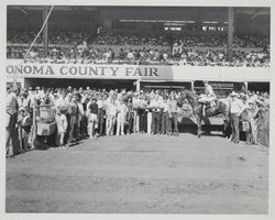 Winning horse and jockey with fans in the Winner's Circle at the Sonoma ...