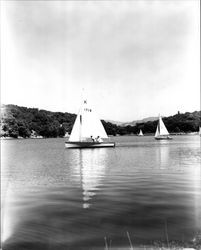 Sailboats on Lake Ralphine, Santa Rosa, California, 1965 — Calisphere