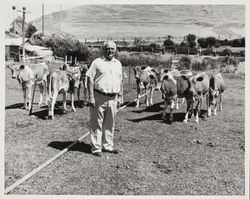 Charles Stornetta at his dairy, 3142 Carneros Highway, Sonoma ...