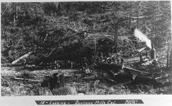 Dolbeer donkey steam engine, crew, and bull team in the woods logging ...