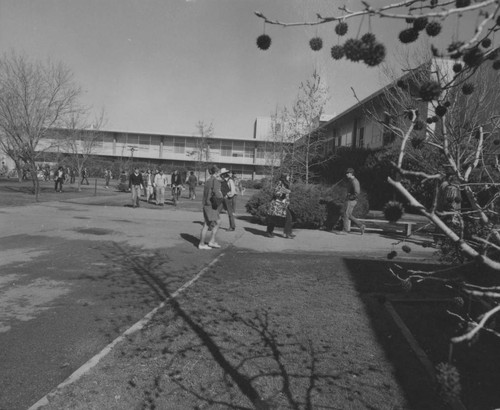 New campus-McKee-Fisk building-0004 — Calisphere