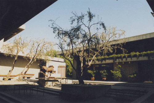 New campus-Phebe Conley Art building-0041 — Calisphere