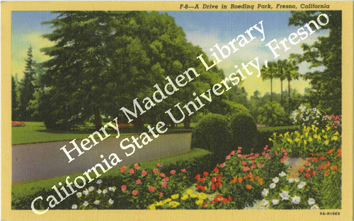 A Drive in Roeding Park, Fresno, California — Calisphere