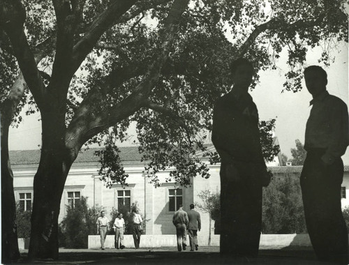 Frary Dining Hall, Pomona College — Calisphere