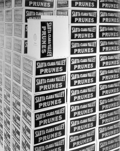 Santa Clara Valley prunes — Calisphere
