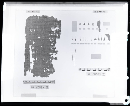 Codex II, fragments and papyrus page E — Calisphere