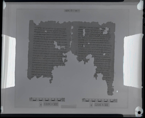Codex VIII papyri pages 124 and 19 — Calisphere