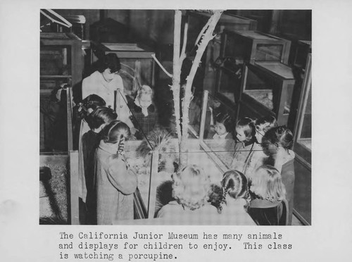 California Junior Museum — Calisphere