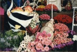 Detail of flower and petal designs on float — Calisphere