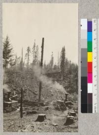 Yosemite Lumber Company, one of the settings of Camp 15 in Yosemite ...