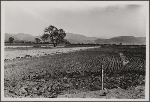 San Fernando Valley spreading grounds — Calisphere