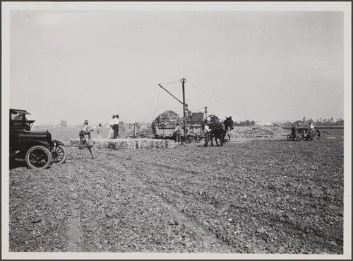 Compressing of lima bean hay at National Boulevard — Calisphere