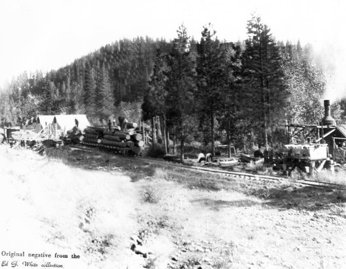 Logging train — Calisphere