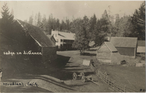 Woodleaf Scene — Calisphere