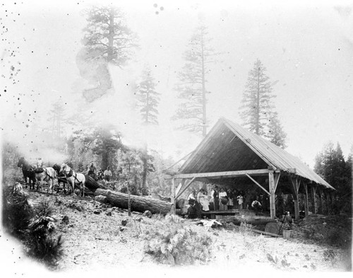 Lumbering in Dixie Valley — Calisphere