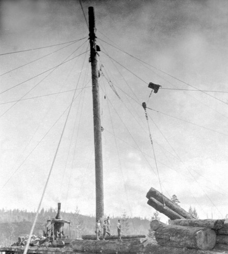 Dolbeer donkey engine and logs — Calisphere