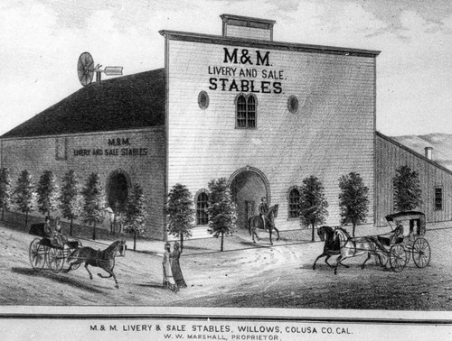 M. & M. Livery and Sale Stables — Calisphere