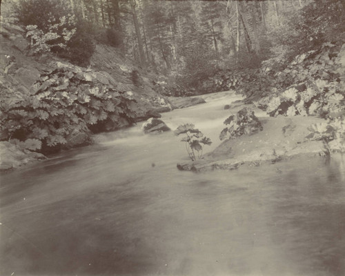 Butte Creek — Calisphere