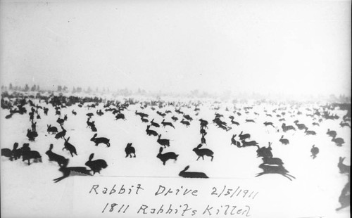 Rabbit Drive — Calisphere