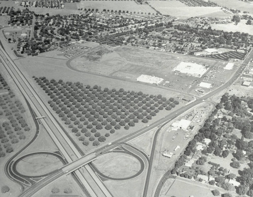 Aerial View of Chico — Calisphere