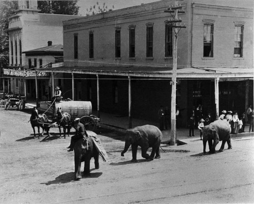 Circus in Chico — Calisphere