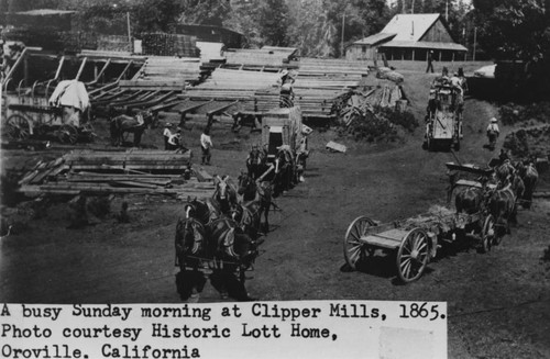 Clipper Mills — Calisphere