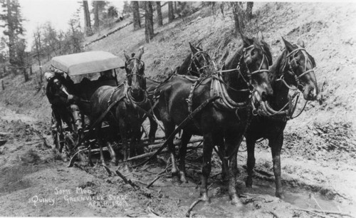Quincy-Greenville Stagecoach In Muddy Road — Calisphere