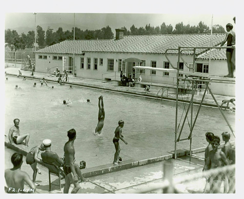 View of the pool at Arcadia Community Regional Park — Calisphere