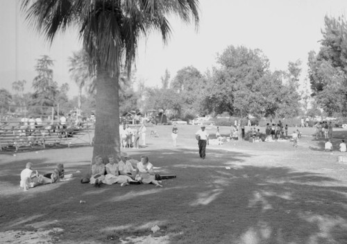 View of park visitors at Arcadia Community Regional Park — Calisphere