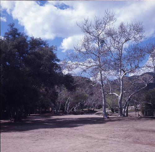 View of Placerita Canyon State Park — Calisphere