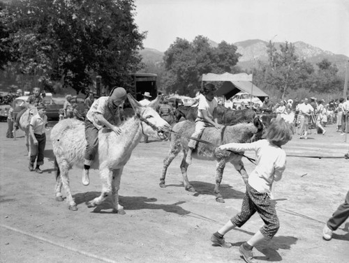 View of a festival at Placerita Canyon State Park — Calisphere