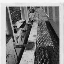 Elkhorn Ferry — Calisphere