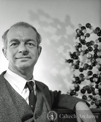 Linus Pauling with model in background — Calisphere