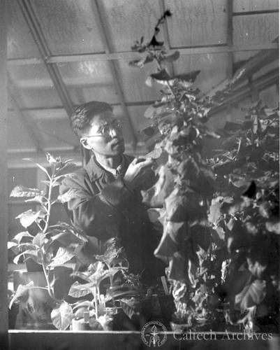 Interior of the Earhart Plant Physiological Lab — Calisphere