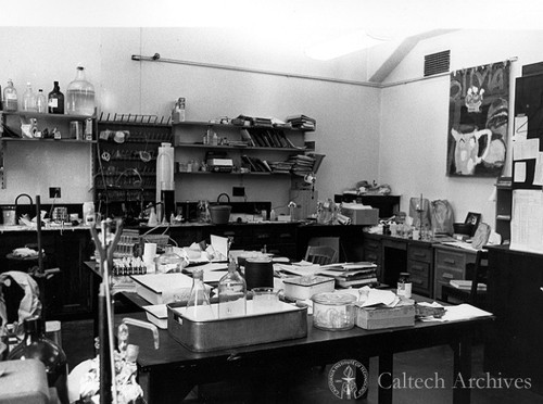 James Bonner's lab — Calisphere