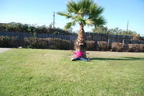 DSC_0176 — Calisphere