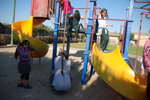 DSC_0110 — Calisphere