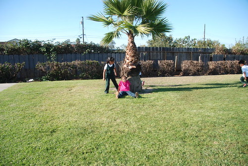 DSC_0173 — Calisphere