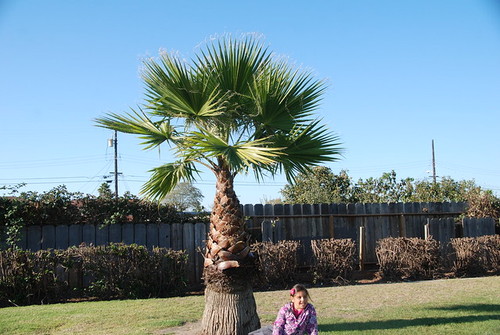 DSC_0162 — Calisphere