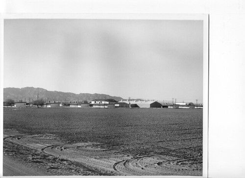 Bud Antle trip to Clarkdale, AZ, Pierce Photo 215 © 1969 Frank D ...