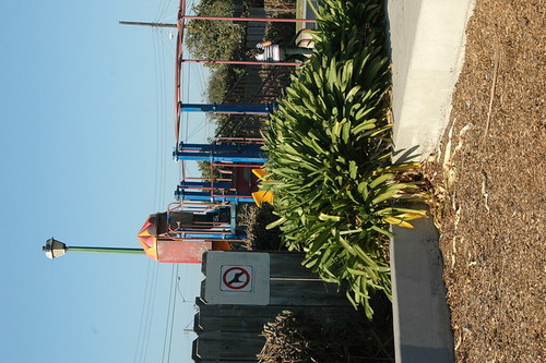 DSC_0044 — Calisphere