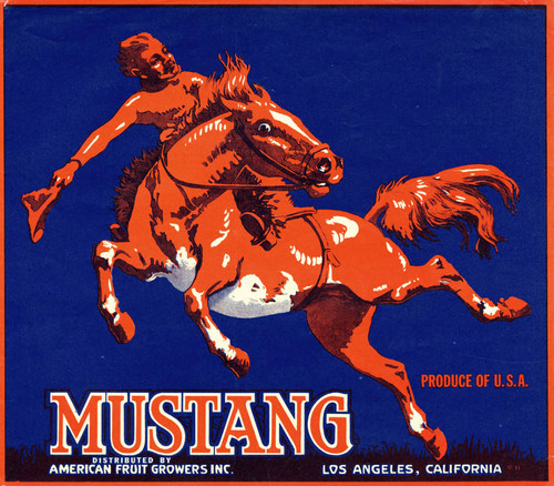 Mustang — Calisphere