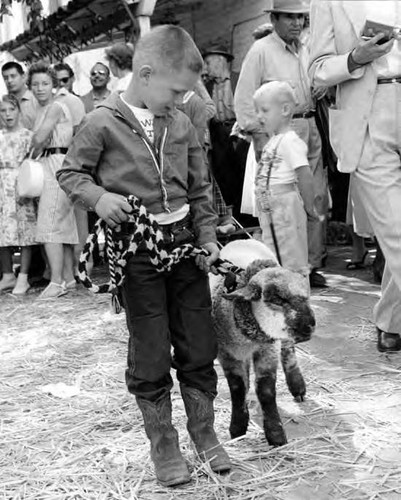 Boy with lamb — Calisphere