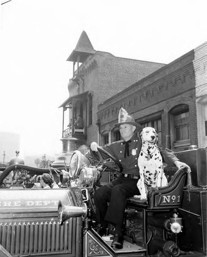 Fireman and dalmation on fire truck at Firehouse Dedication — Calisphere