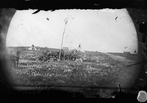 Sioux. Sun Dance, Devil's Lake, North Dakota — Calisphere