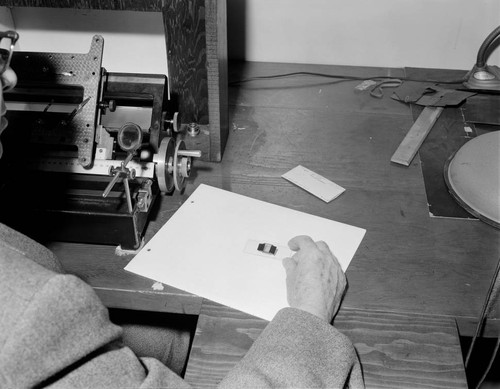 Milton L. Humason holding a small prime-focus spectrum plate — Calisphere