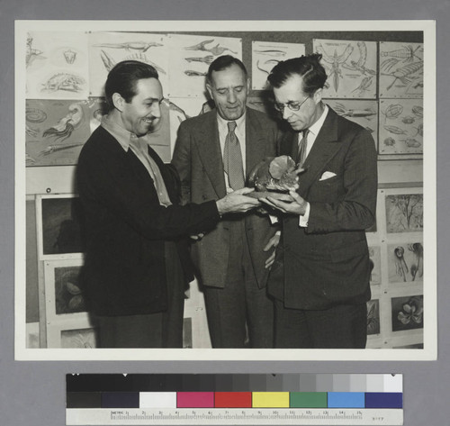 Walt Disney, Edwin Powell Hubble and Julian Huxley looking at a ...