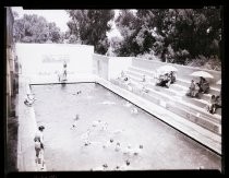 Theodore Roosevelt Swimming Pool, San Jose — Calisphere
